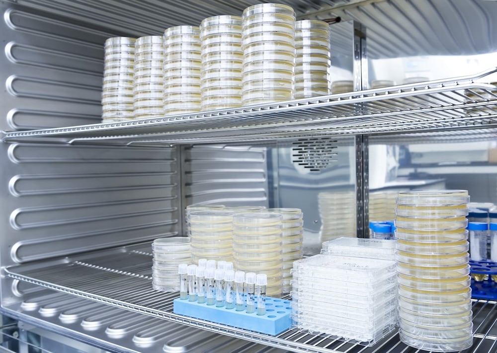 Microbiology Laboratory Services in Pennsylvania | Quantus